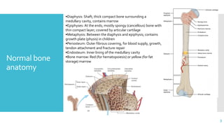 FRACTURES & FRACTURE MANAGEMENT, classification, investigations and ...