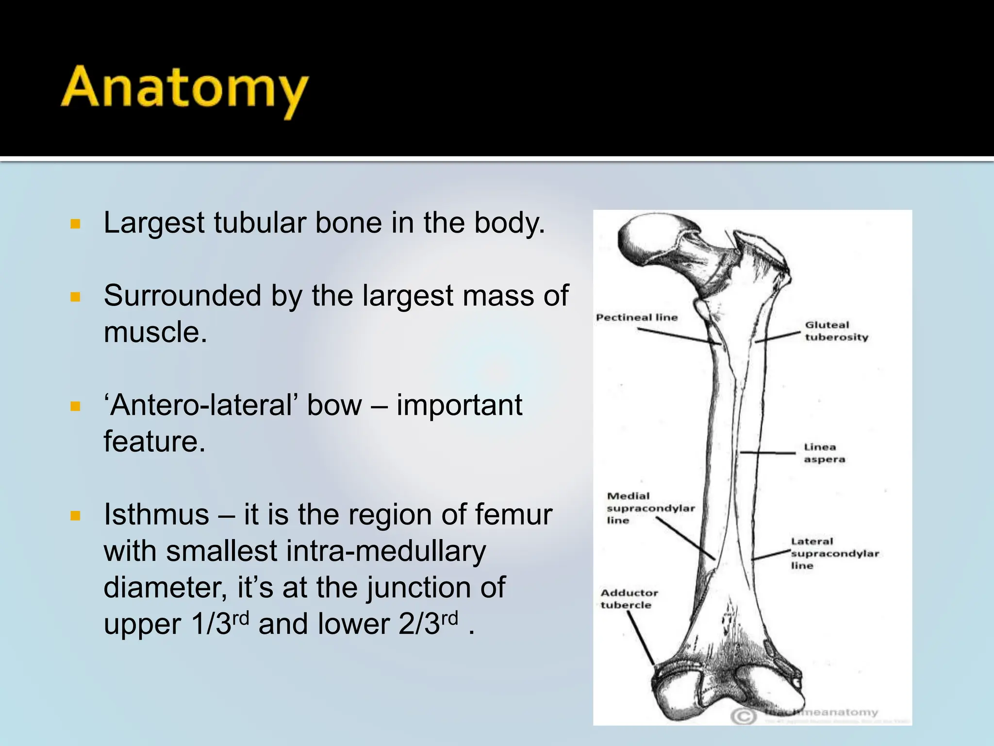 FRACTURE SHAFT FEMUR PPT by dr.bharti pawar.pptx