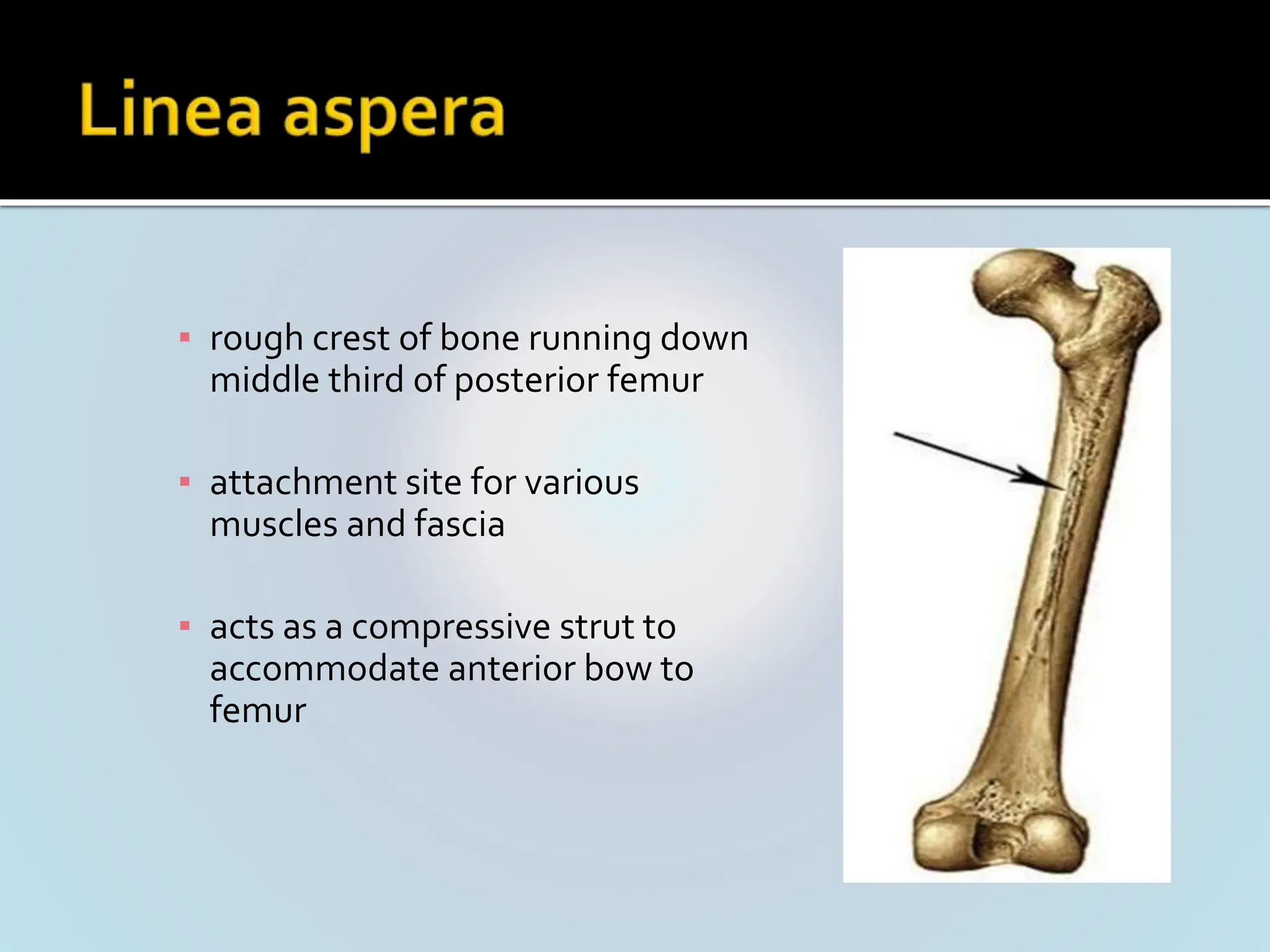 FRACTURE SHAFT FEMUR PPT by dr.bharti pawar.pptx