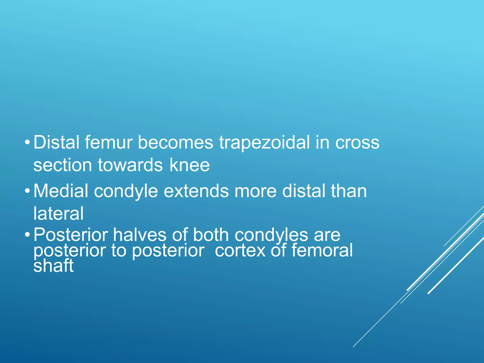 fracture shaft of femur.pptx | First Aid | Injuries
