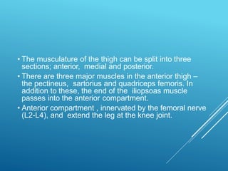 fracture shaft of femur.pptx