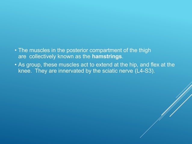 fracture shaft of femur.pptx | First Aid | Injuries
