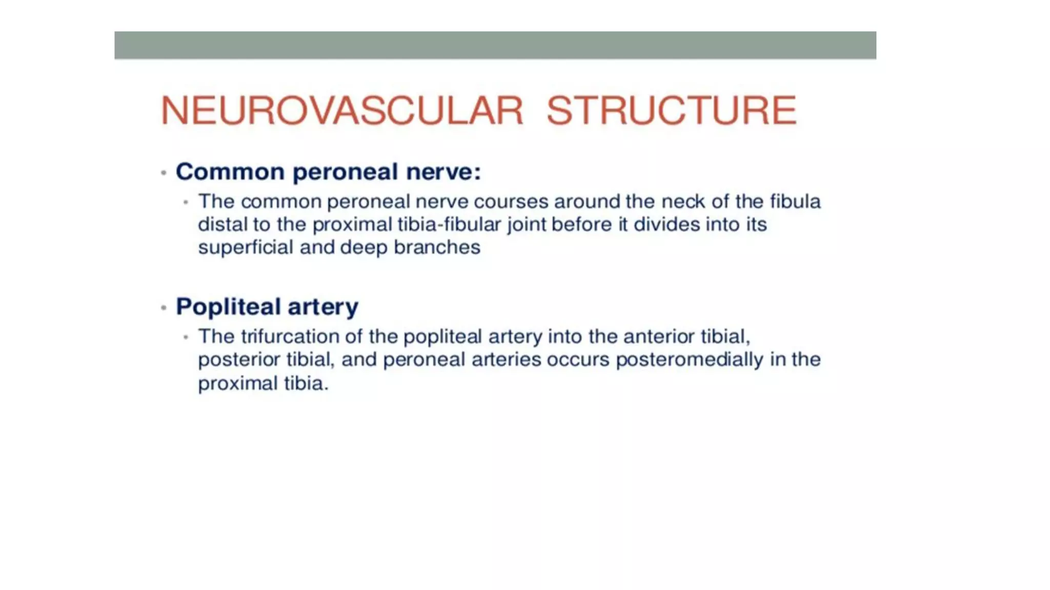 Fracture shaft of tibia | PPTX