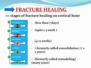 Fractures healing complication & management | PPTX | Death, Injury, or ...