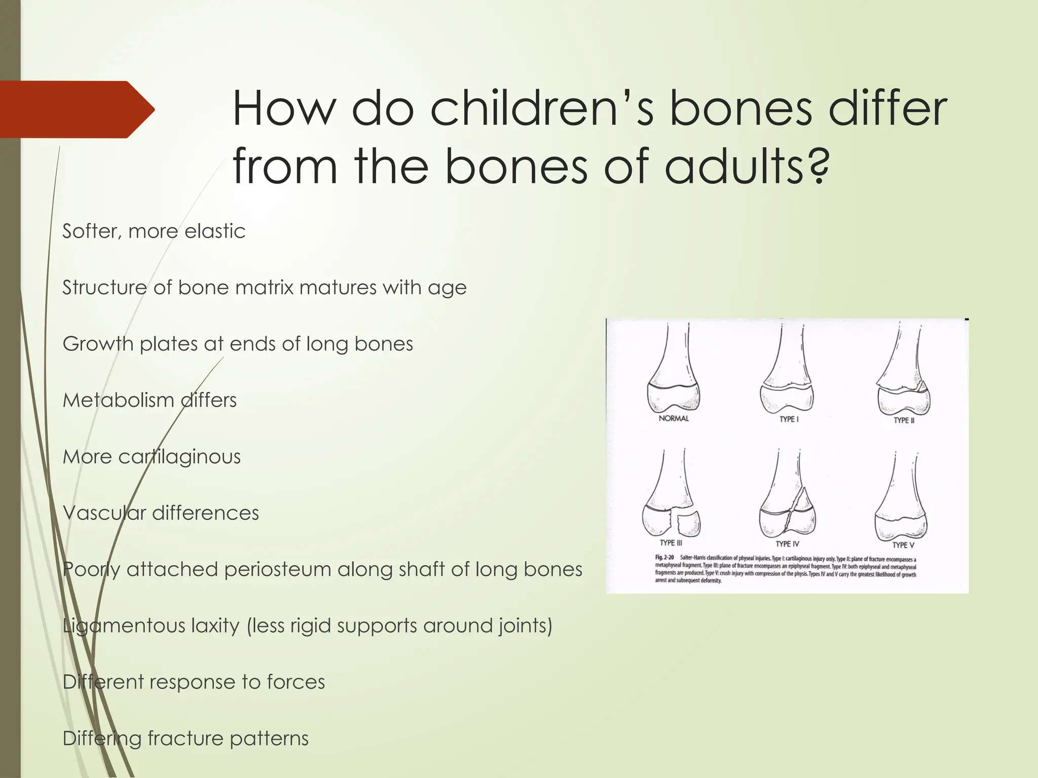 Fractures in Children Mechanisms and Estimations.pptx