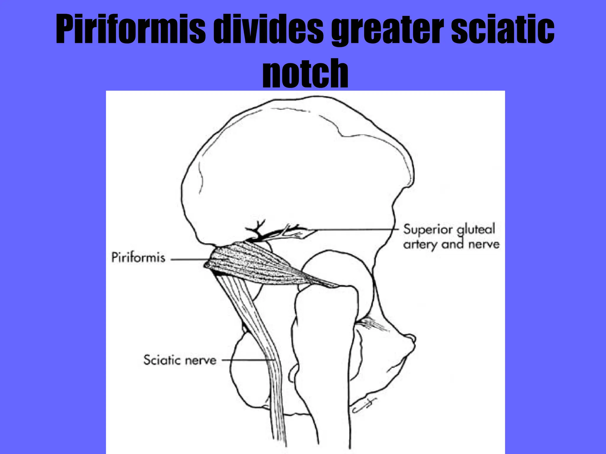 FRACTURES OF ACETABULUM.ppt fractures around hip | PPT