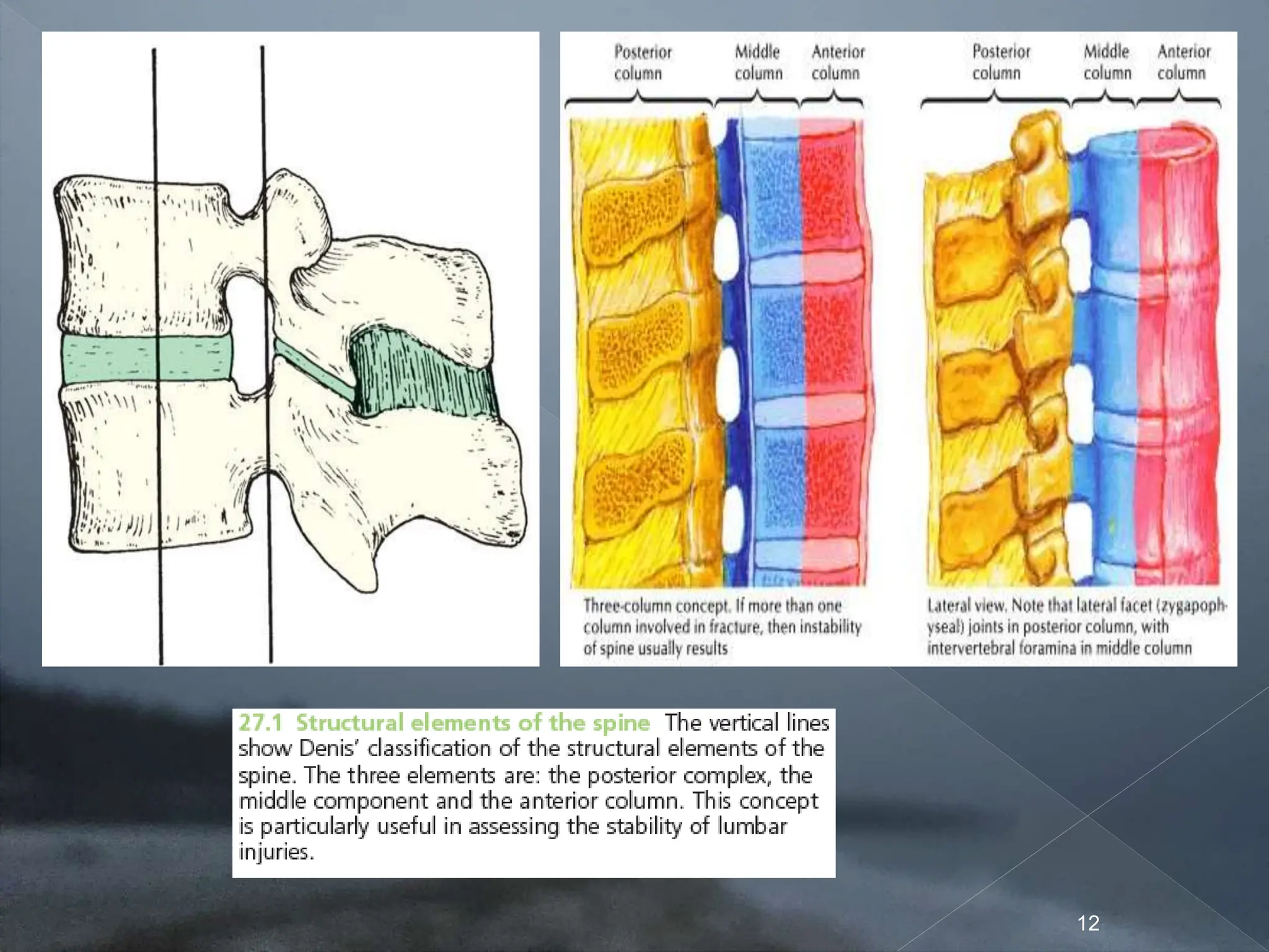 fractures of cervical spine and applied anatomy revised.pptx