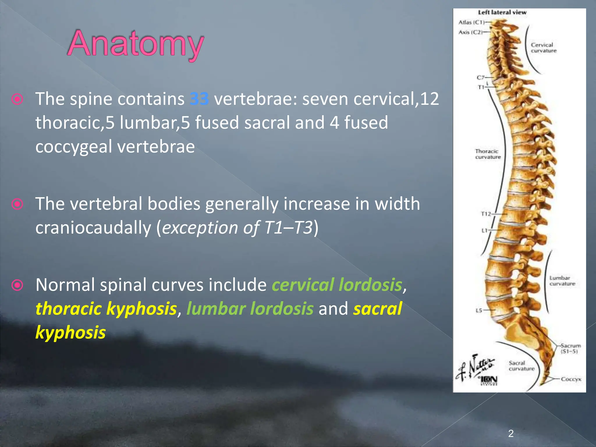 fractures of cervical spine and applied anatomy revised.pptx