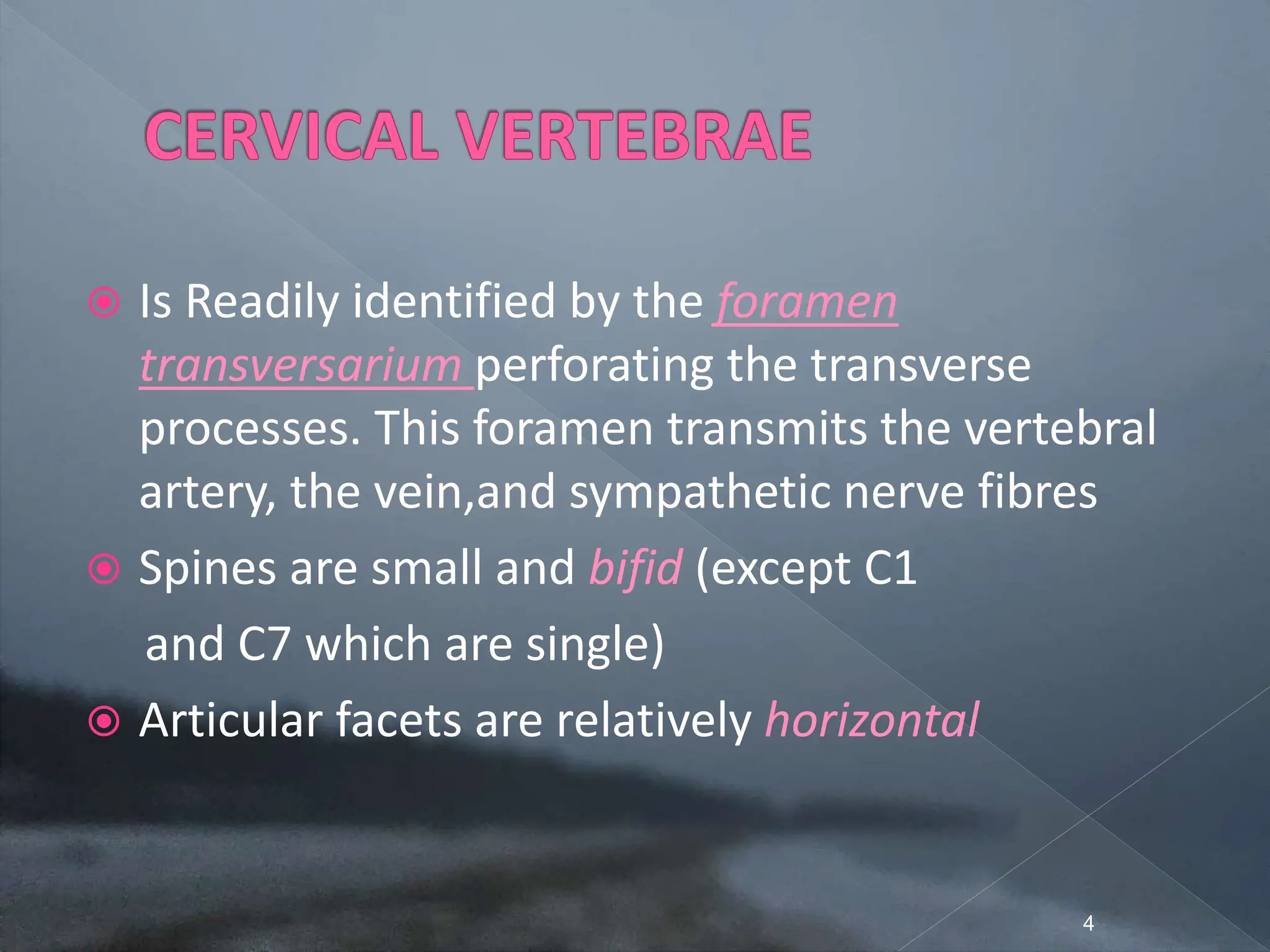 fractures of cervical spine and applied anatomy revised.pptx
