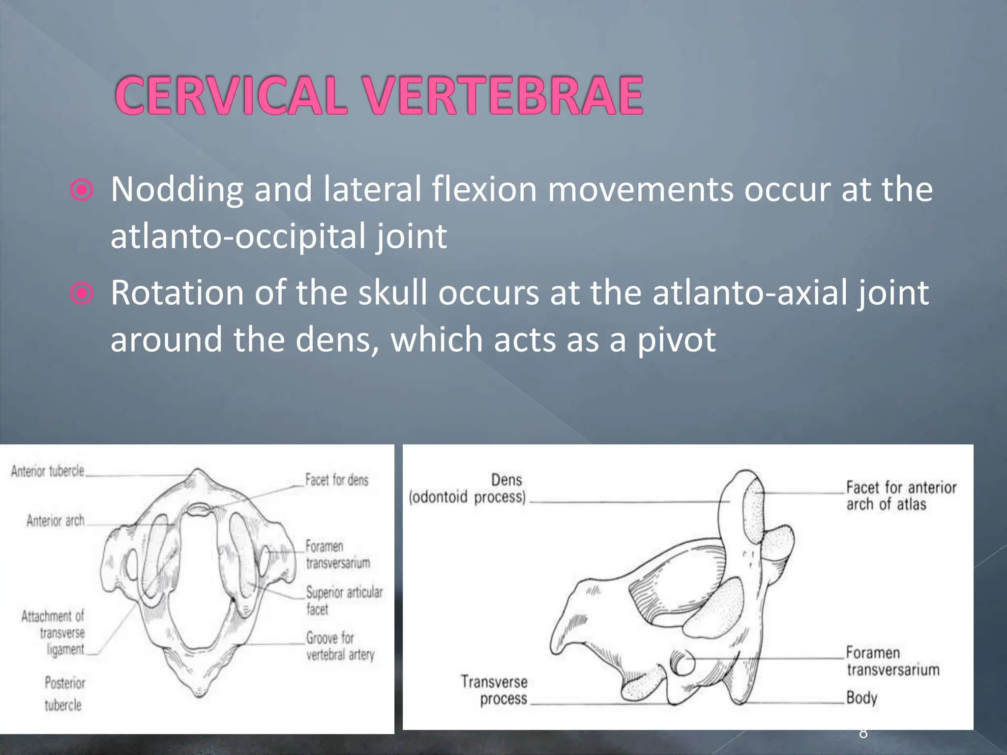 fractures of cervical spine and applied anatomy revised.pptx
