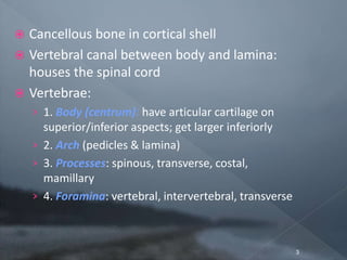 fractures of cervical spine and applied anatomy revised.pptx