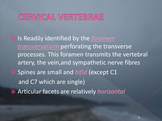 fractures of cervical spine and applied anatomy revised.pptx