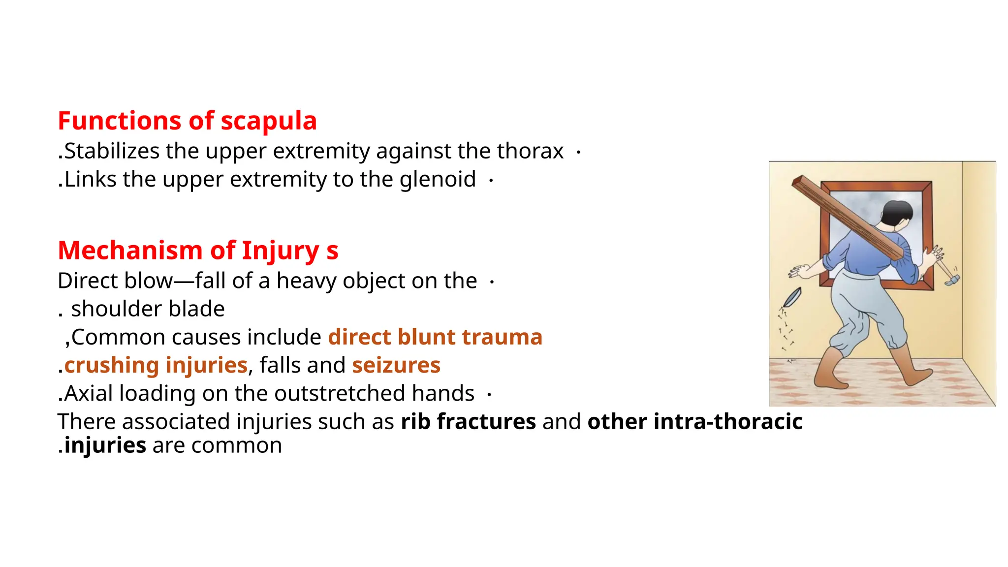 The Fractures of clavicle & scapula.pptx