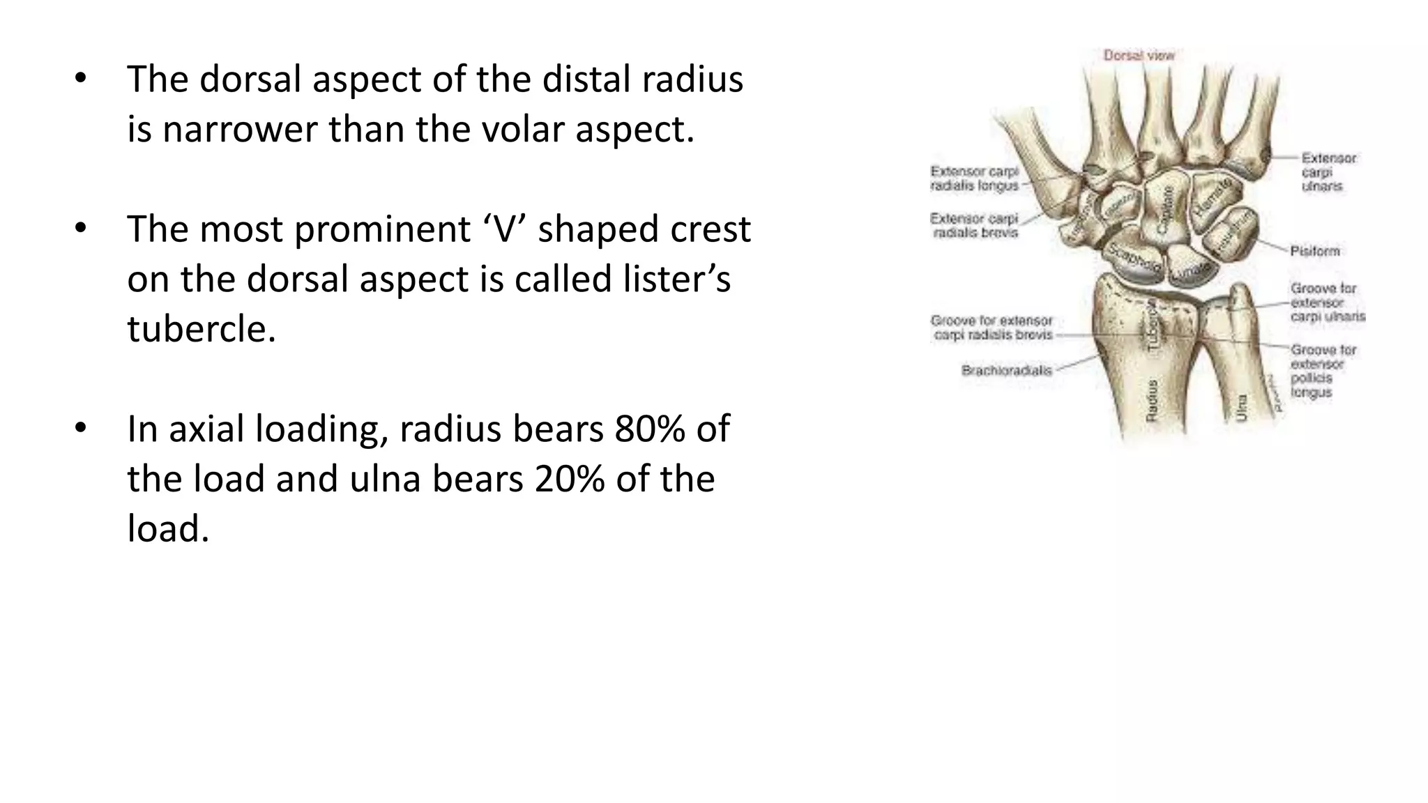 Fractures of distal end radius | PPTX