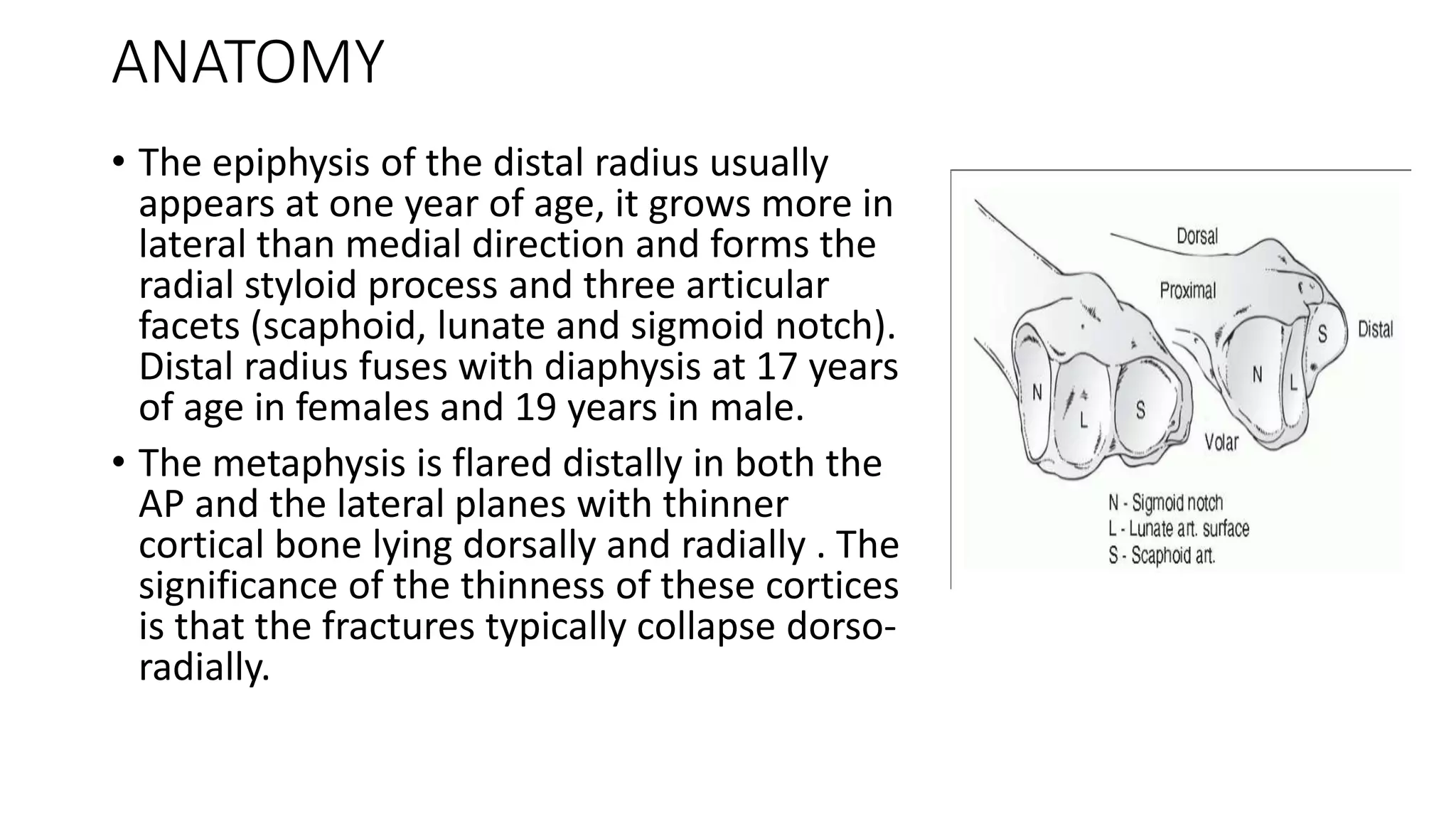 Fractures of distal end radius | PPTX
