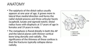 fracturesofdistalendradius-Dr waqas.pptx