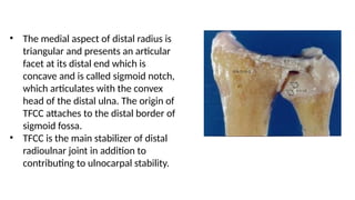 fracturesofdistalendradius-Dr waqas.pptx