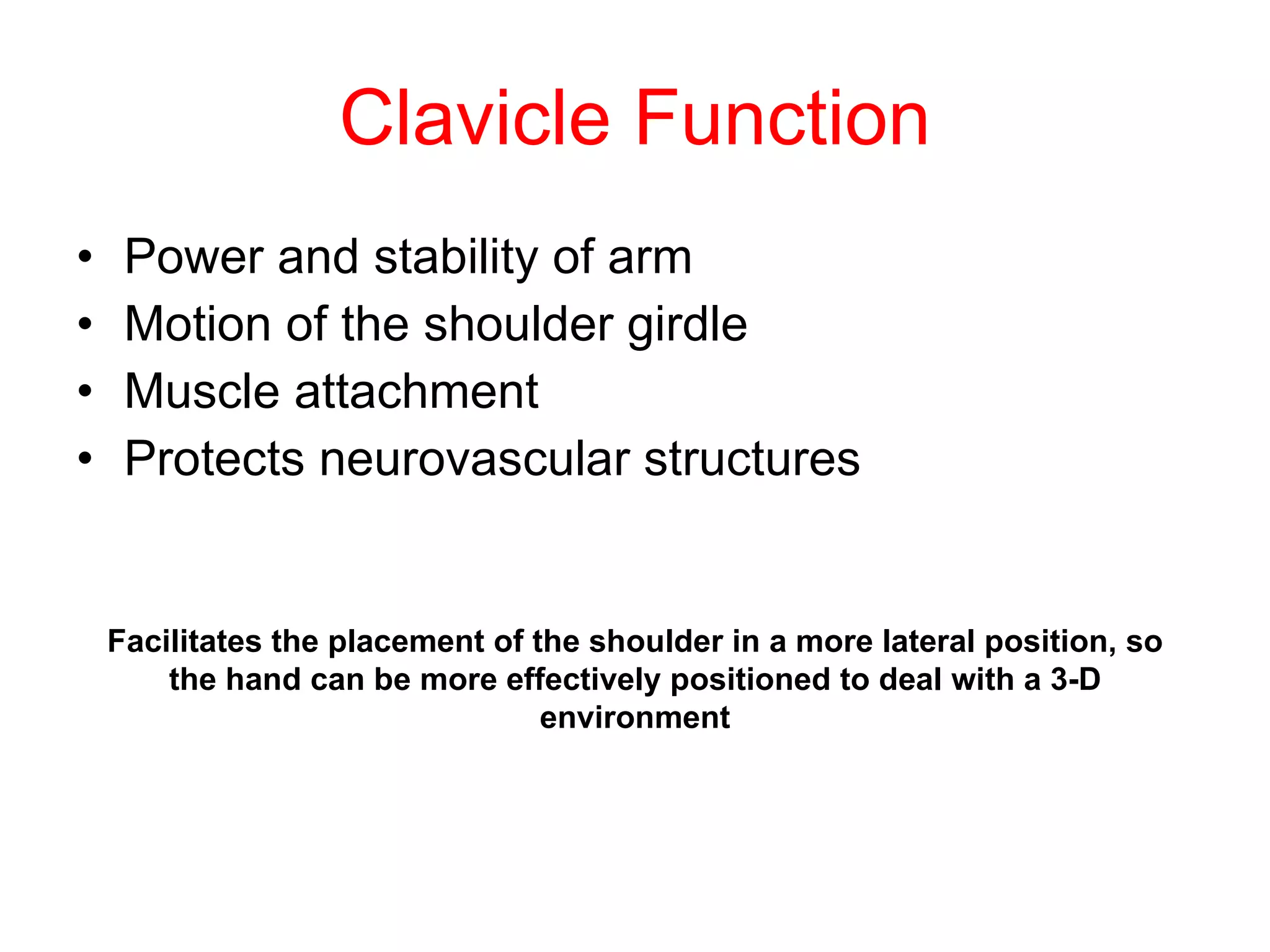 Fractures of the clavicle | PPT