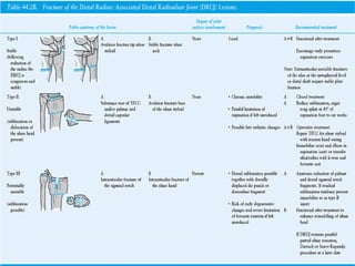 Fractures Of The Distal Radius | PPT