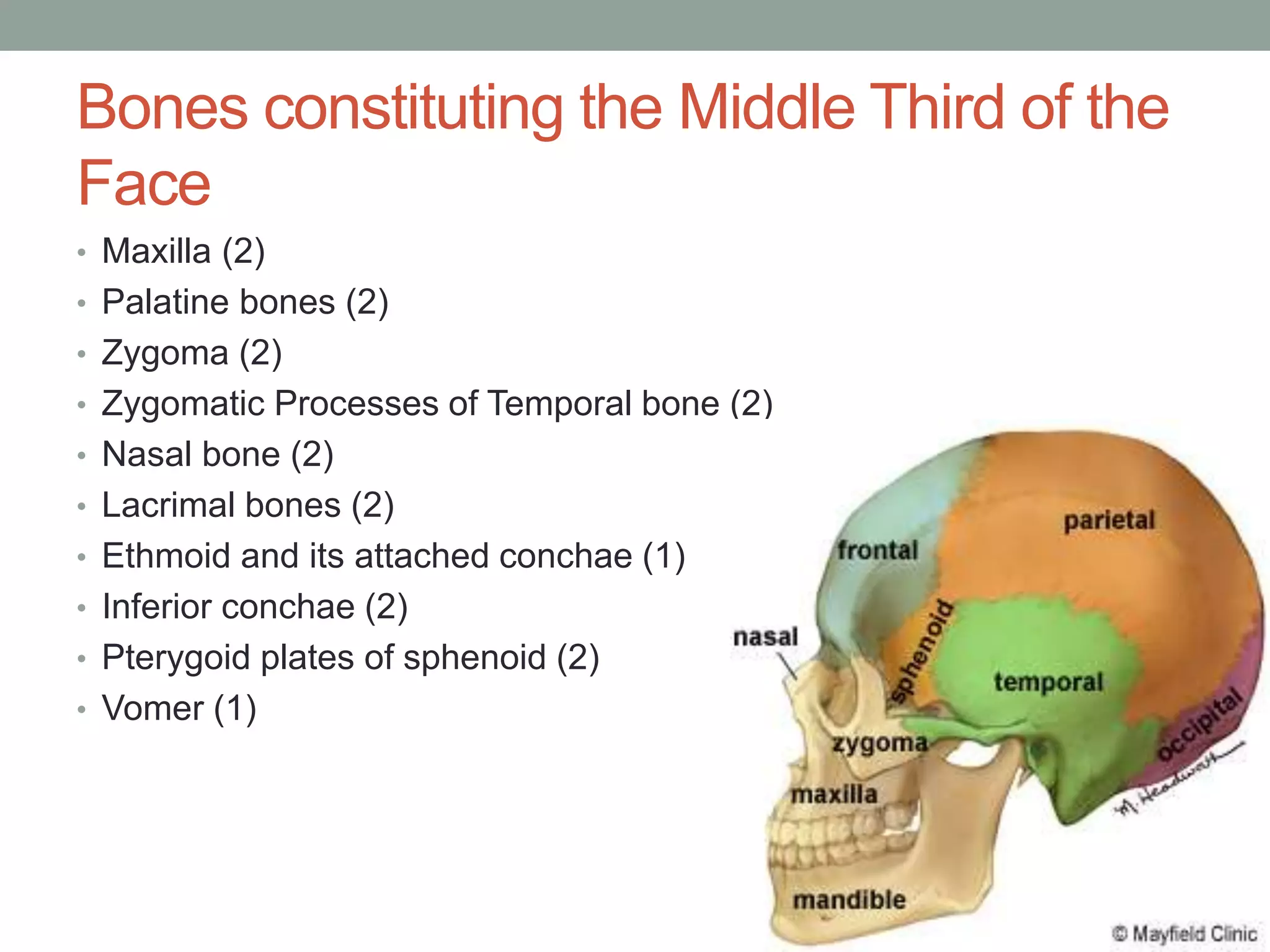 Fractures of the Middle third of the Facial Skeleton | PPTX