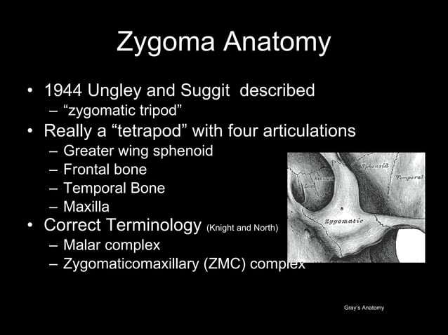 Fractures of the Midface / Orbit | PPT