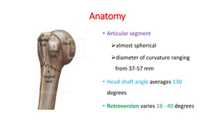 Fractures of the proximal humerus | PPT