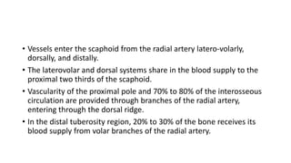 Fractures of the scaphoid | PPTX