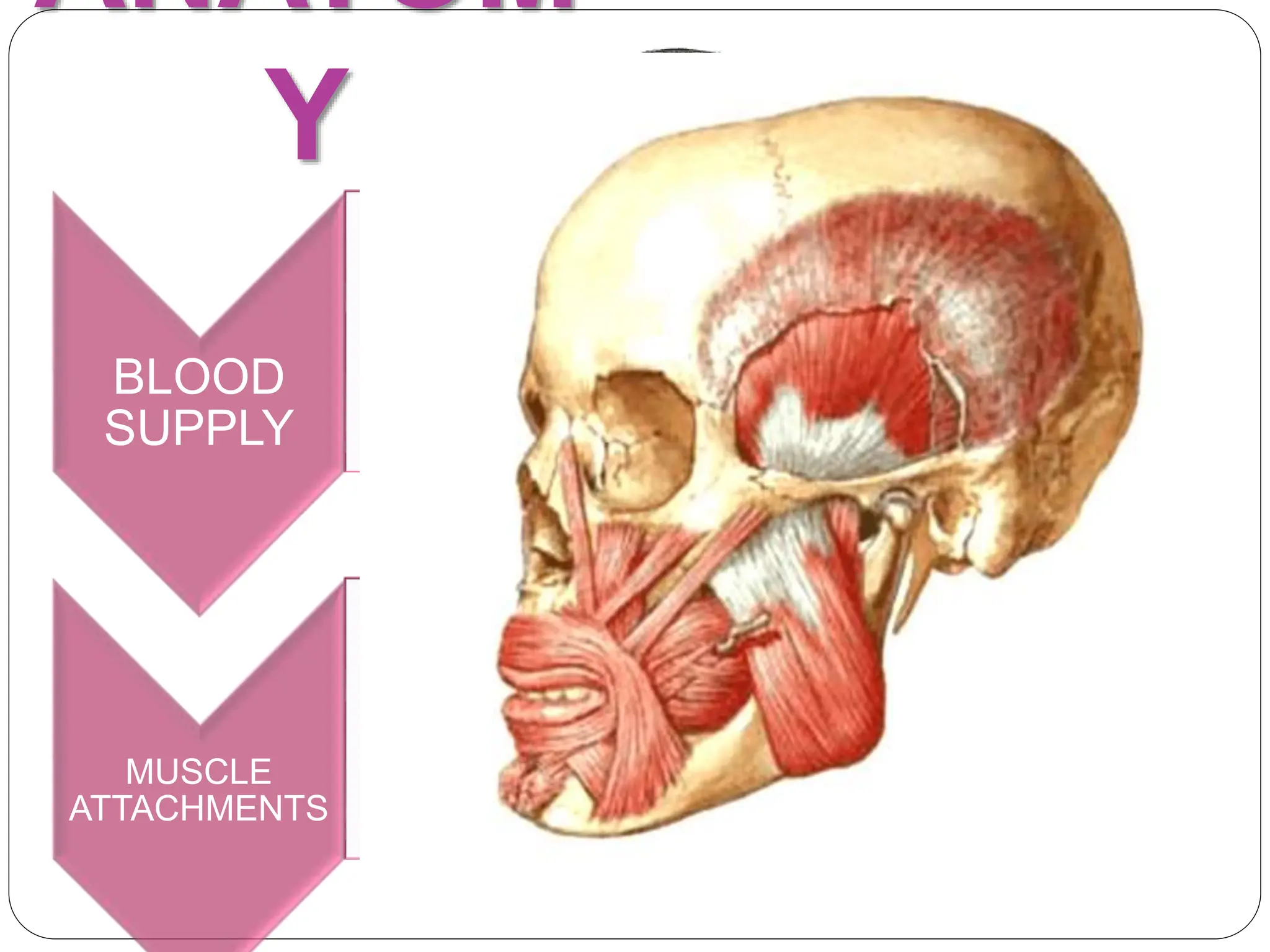 FRACTURES OF THE ZYGOMATIC COMPLEX AND ORBIT.pptx.pptx
