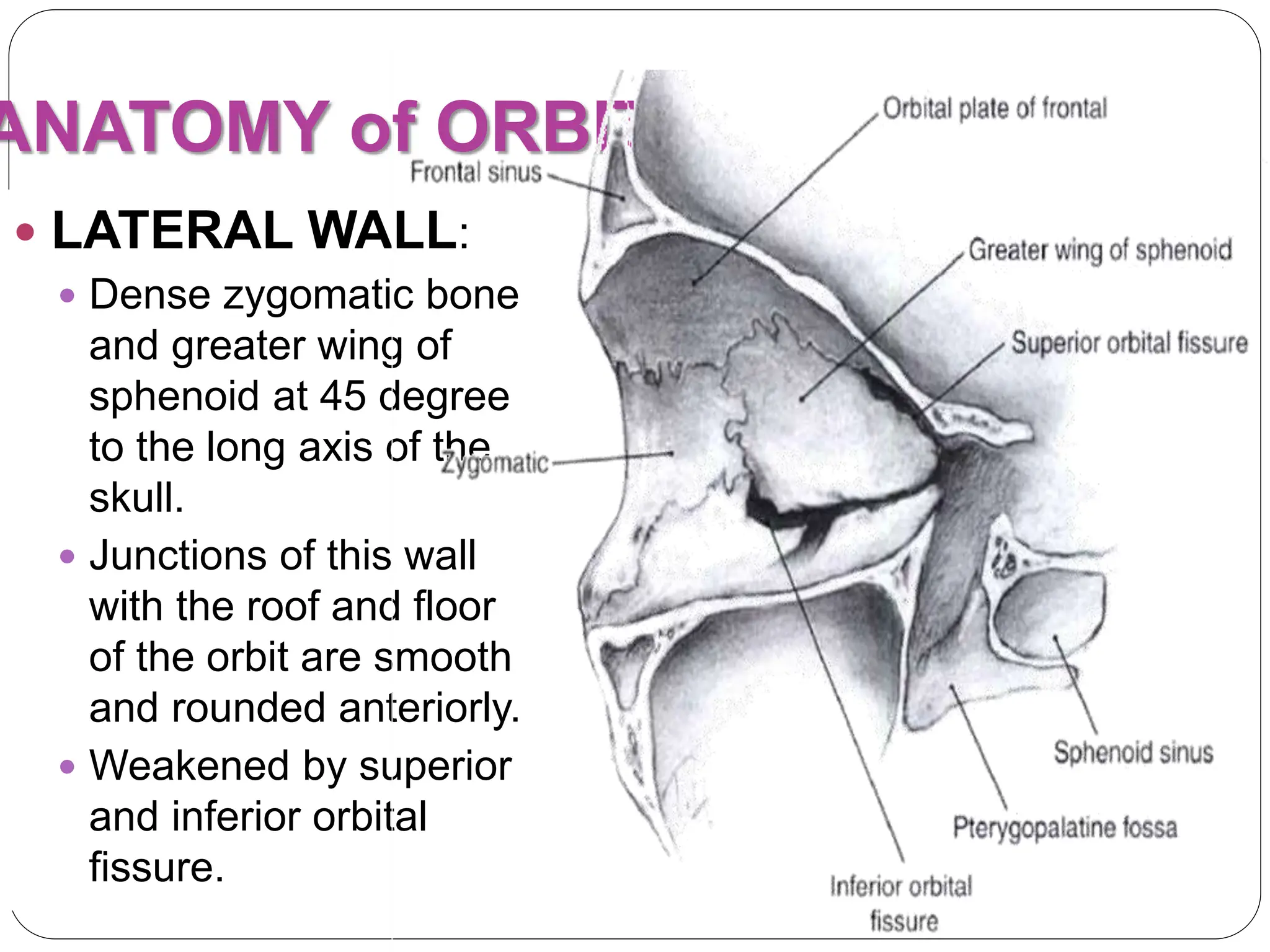 FRACTURES OF THE ZYGOMATIC COMPLEX AND ORBIT.pptx.pptx