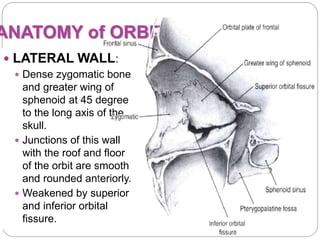FRACTURES OF THE ZYGOMATIC COMPLEX AND ORBIT.pptx.pptx