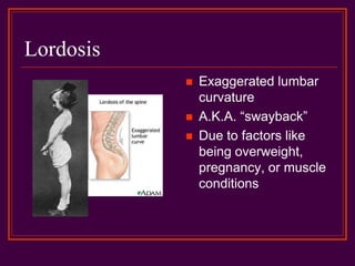 Fractures & Skeletal Conditions | PPT