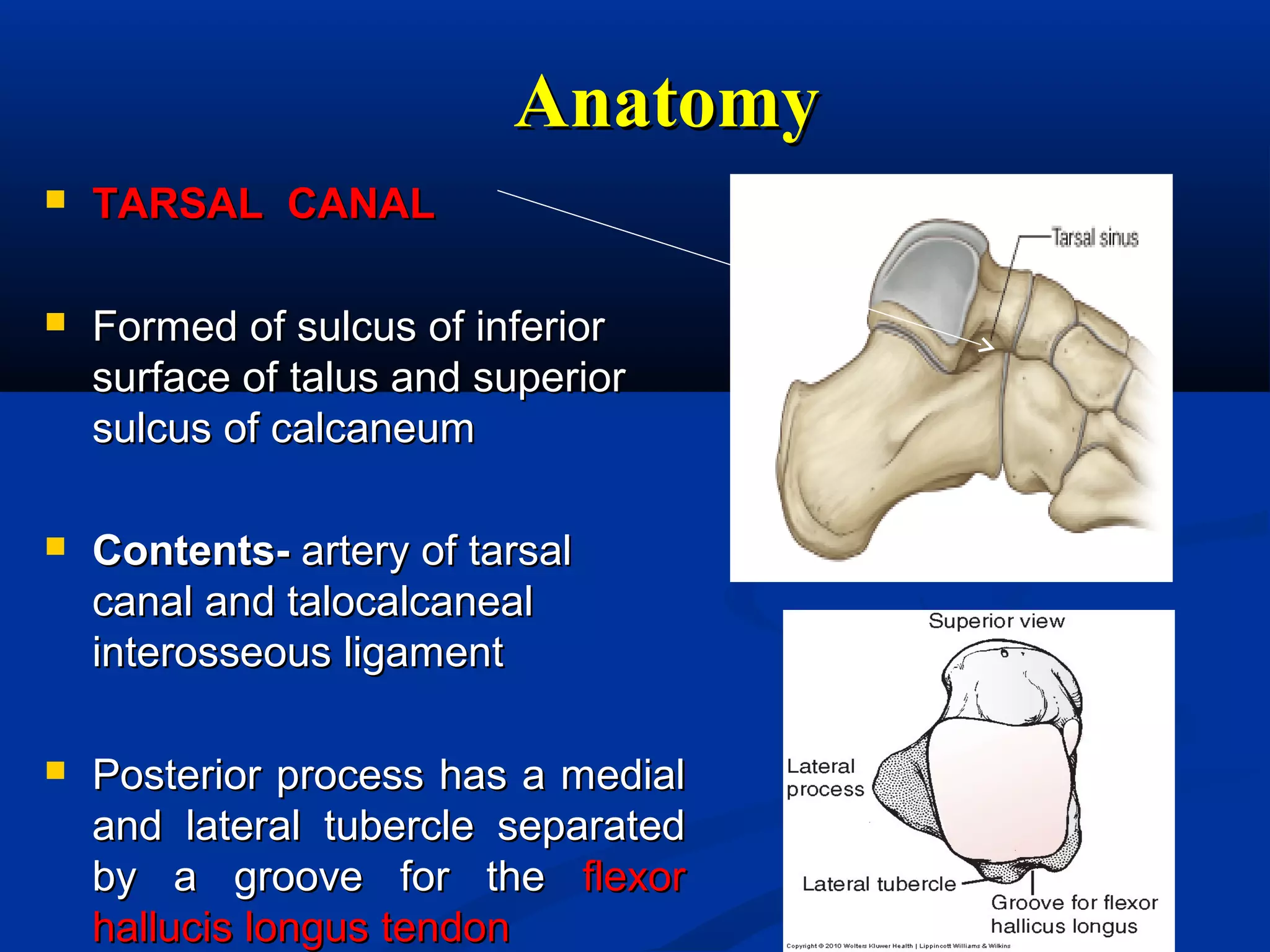 Fracture Talus | PPT