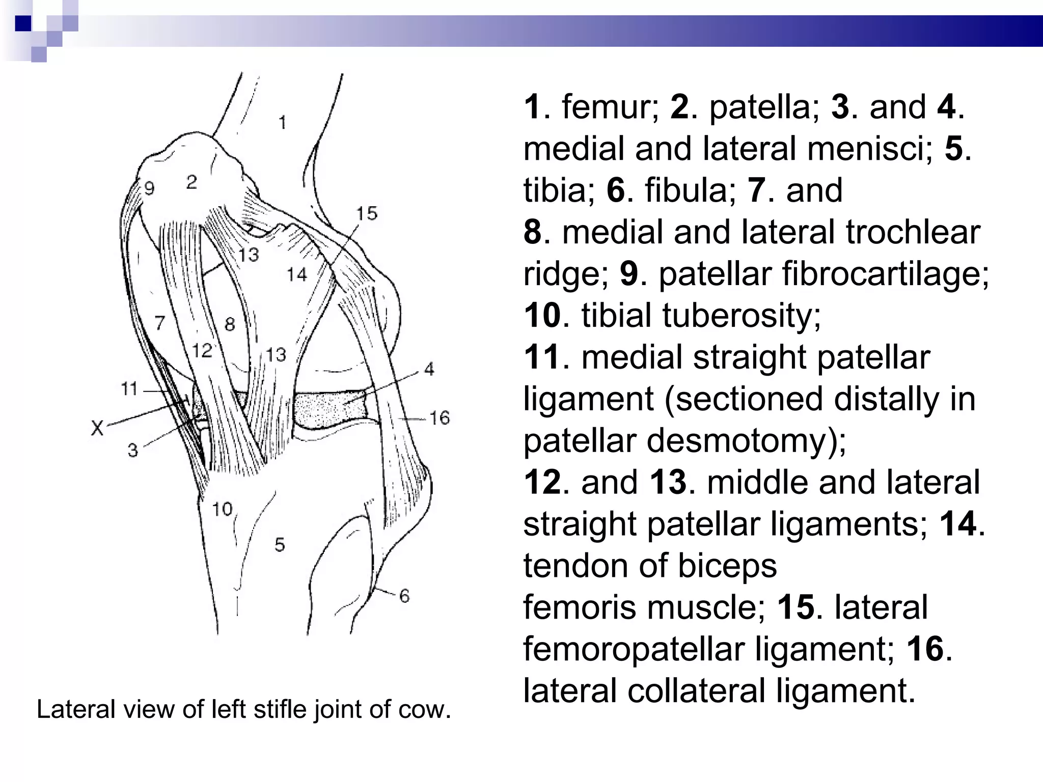 Fracture types & managemental approach | PPT