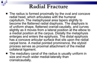 Fracture types & managemental approach | PPT