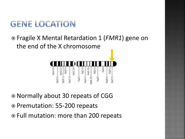 Fragile X presentation | PPTX | Brain and Nervous System Disorders | Diseases and Conditions