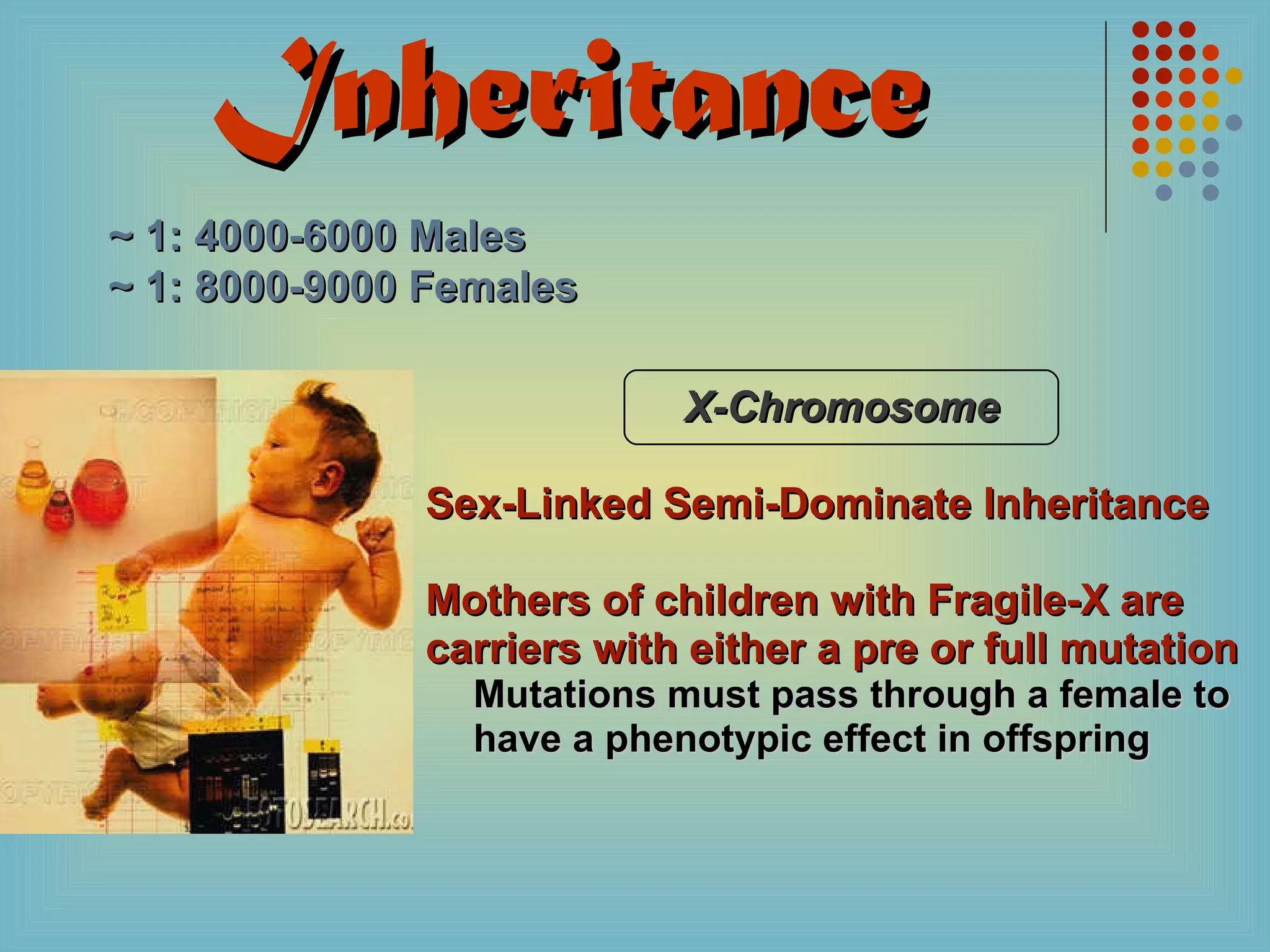 Fragile X Syndrome Mutation by Methylation Sensitive PCR | PPT