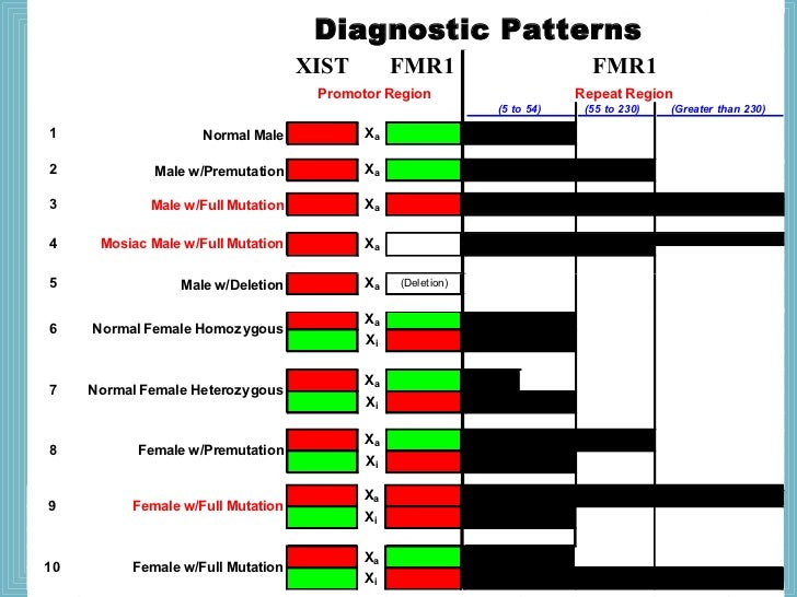 Fragile X Syndrome Mutation By Methylation Sensitive Pcr