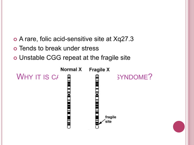 Fragile x syndrome | PPTX | Brain and Nervous System Disorders | Diseases and Conditions