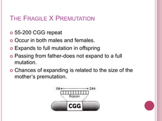 Fragile x syndrome | PPTX