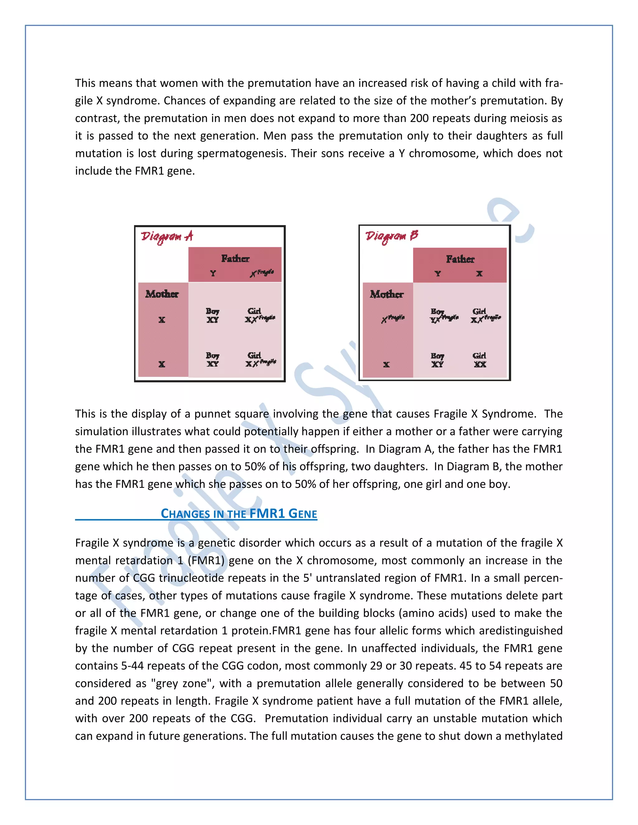 Fragile x syndrome | DOCX