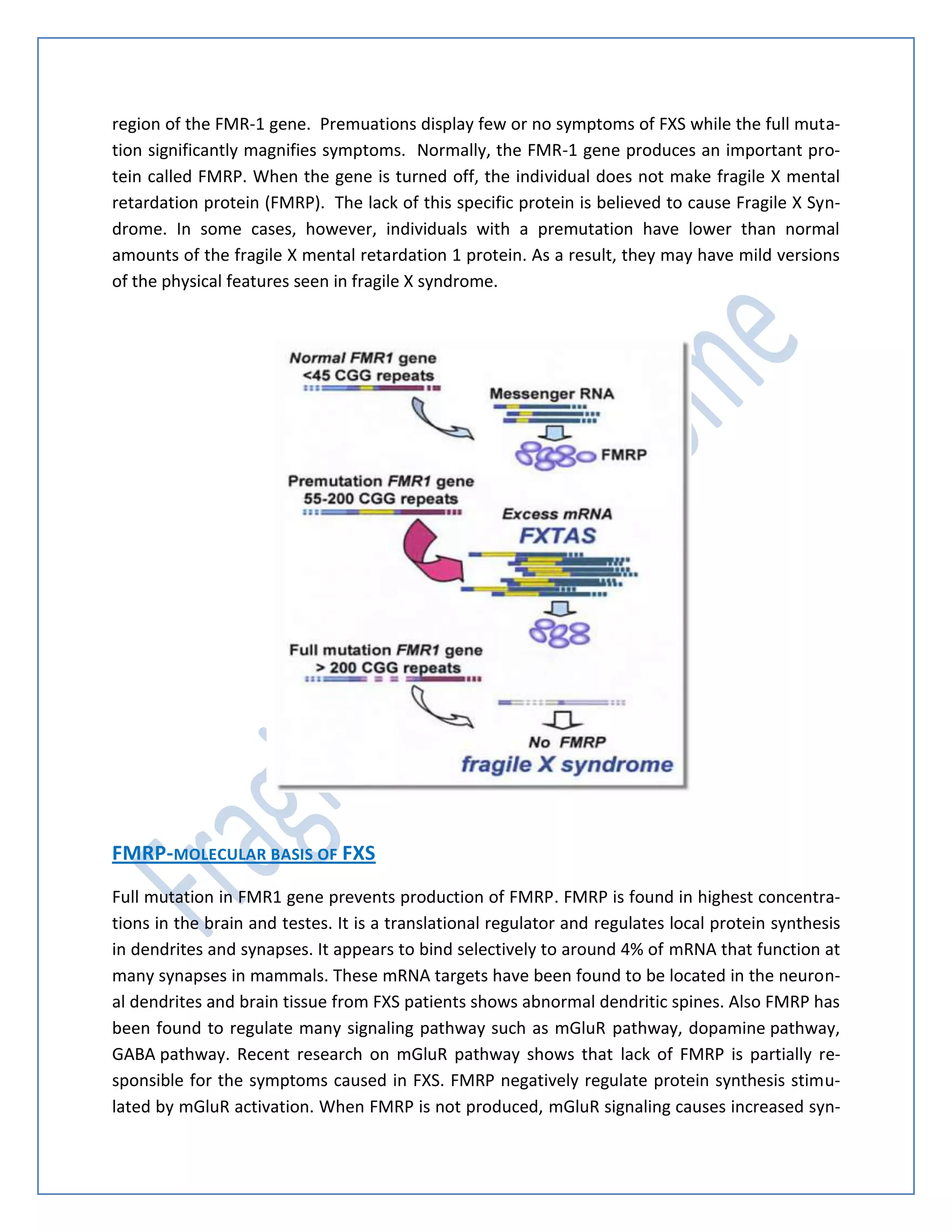 Fragile x syndrome | DOCX