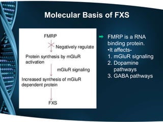 Fragile x syndrome | PPTX
