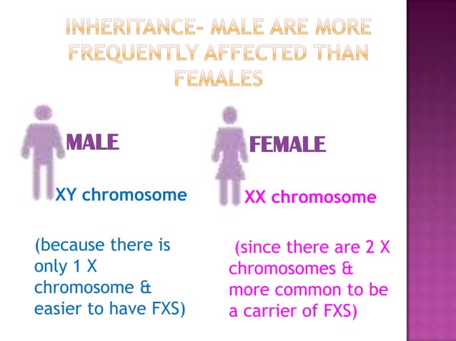 Fragile x syndrome | PPTX | Brain and Nervous System Disorders ...