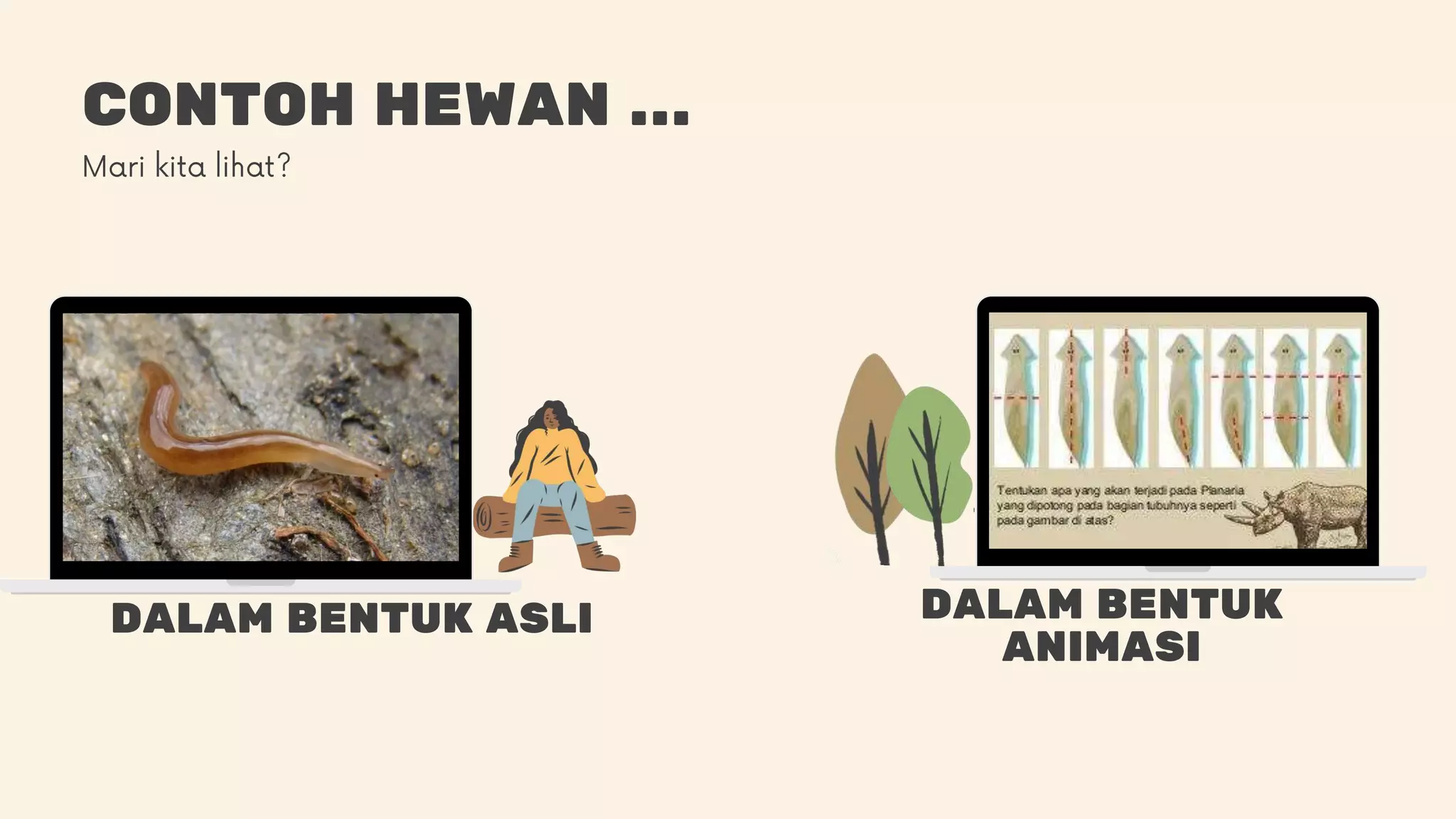 Fragmentasi Hewan - Afifah.pptx