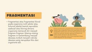 Fragmentasi Hewan - Afifah.pptx