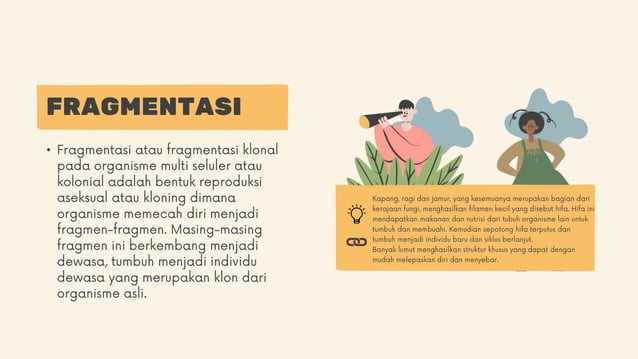 Fragmentasi Hewan - Afifah.pptx