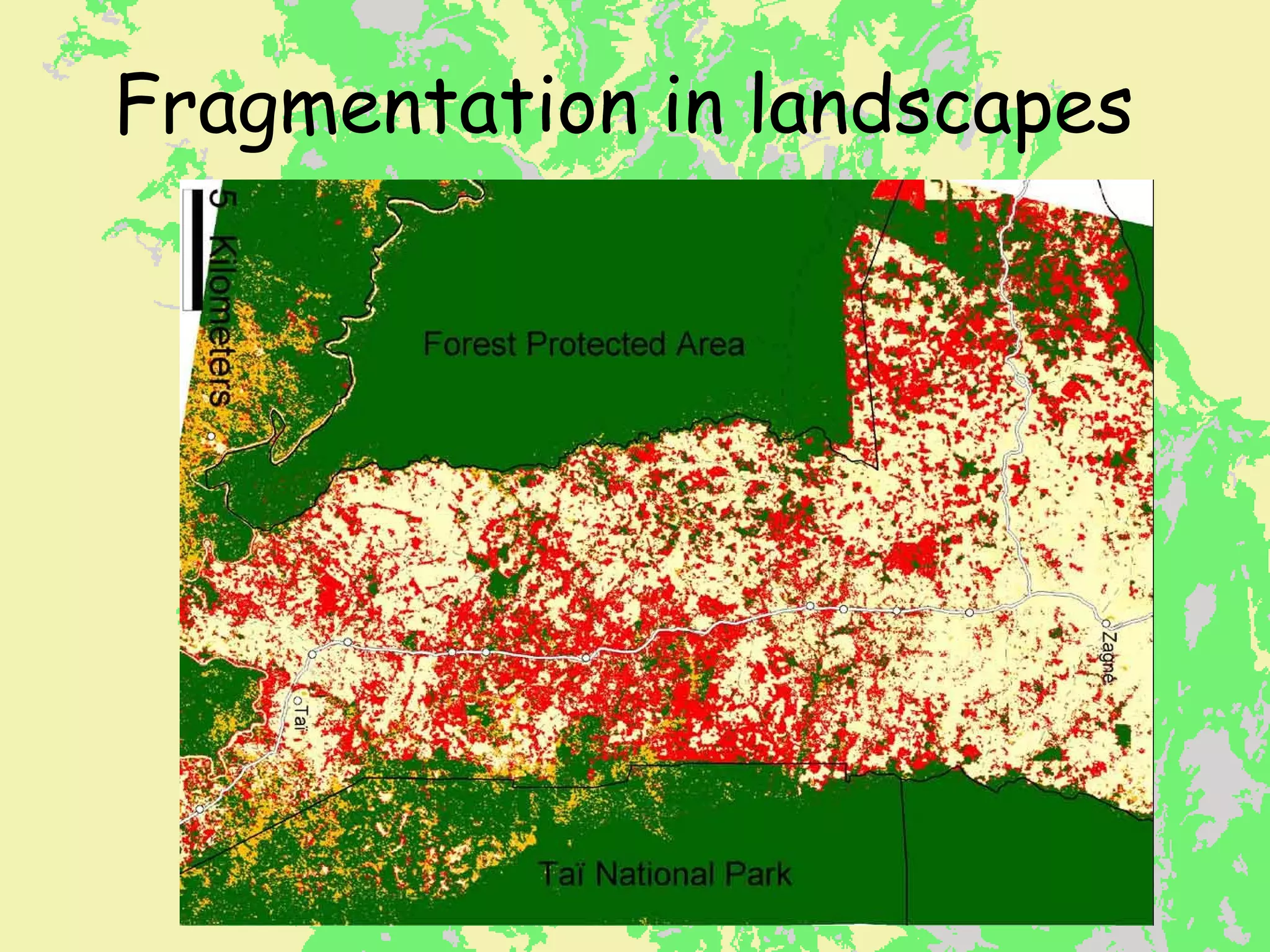 Fragmentation revisited 050902 | PPS