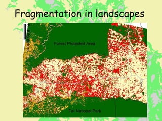 Fragmentation revisited 050902 | PPS