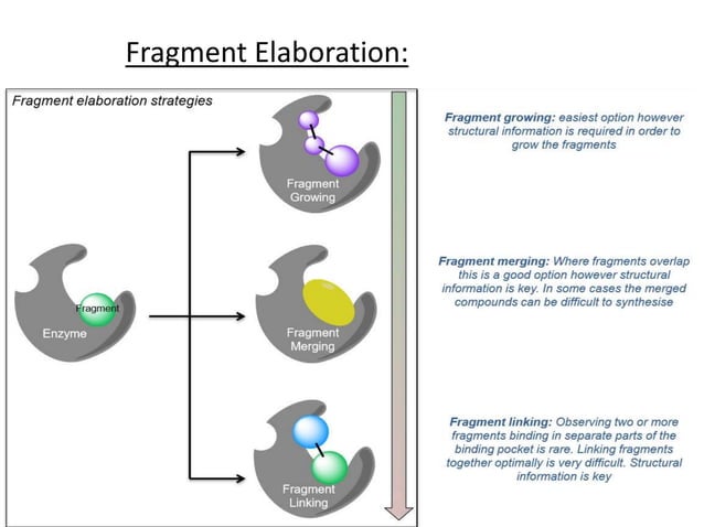 Fragment based drug design | PPTX