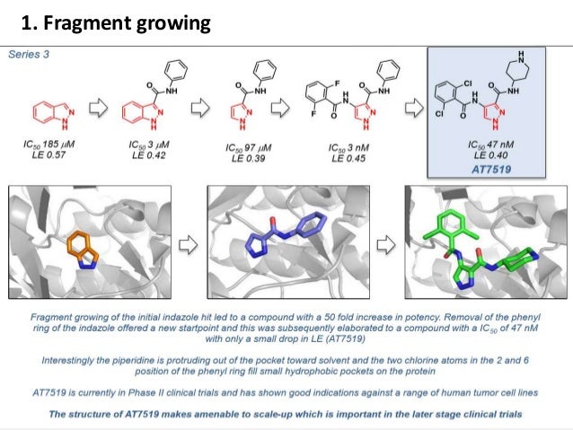 Fragment based drug design